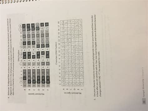 solved use your character matrix to construct a phylogenetic