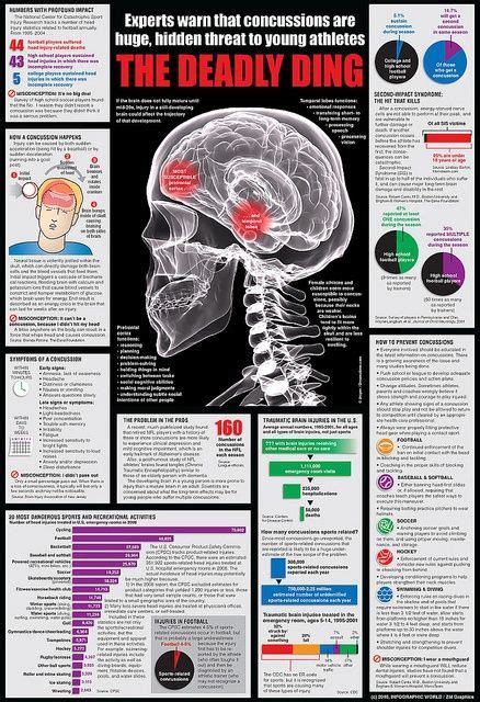 Concussion Infographic Artofit