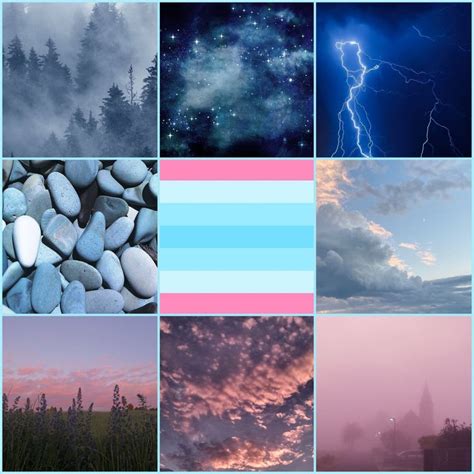 Transmasc Moodboard 🏳️‍⚧️🪼🌸 Trans Colors Aesthetic Transmasc Flag