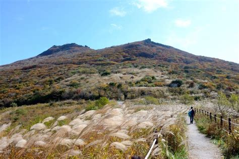 이 동네 사람들은 여기서만 사진찍어요 단풍 터널이 아름다운 의외의 단풍 명소는 여행탐구