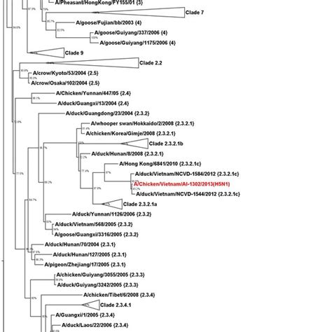Maximum Likelihood Tree Based On Partial Nucleotide Sequences
