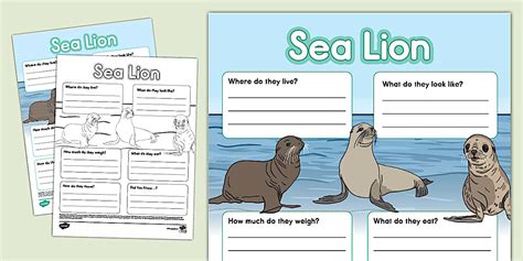 Sea Lion Fact File Template Teacher Made Twinkl