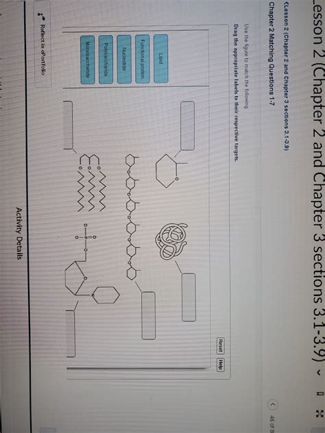 Solved Lesson 2 Chapter 2 And Chapter 3 Sections 3 1 3 9 Chegg
