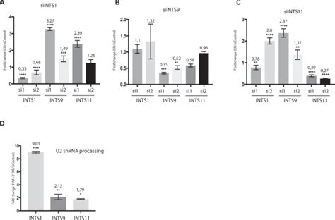 Integrator Is A Key Component Of Human Telomerase Rna Biogenesis Scientific Reports