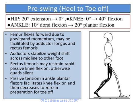 Kinetics And Kinematics Paramters In Gait