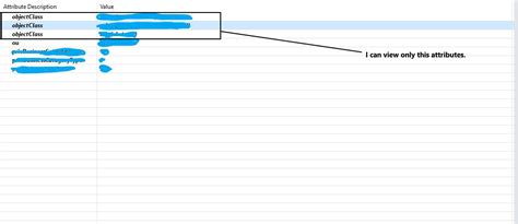 Javascript Why Cannot I Access To All Attributes Of Ldap Stack