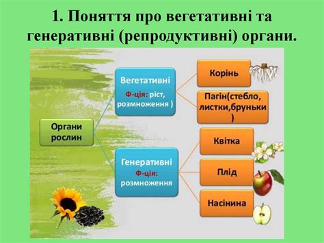 Блог викладача біології Бешлеги Вікторії Біологія ЗНО
