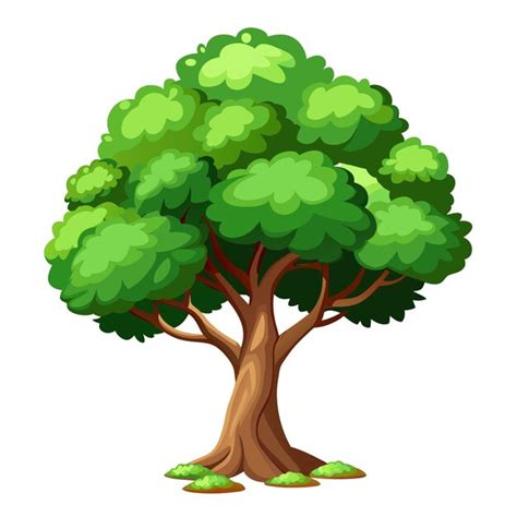 백색 화면에 고립 된 현실적인 트리 터 일러스트레이션 프리미엄 벡터 백색 화면에 고립 된 현실적인 트리 터 일러스트레이션 프리미엄 벡터