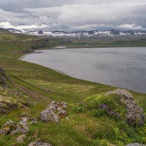 Hornvik Dpreview Forums