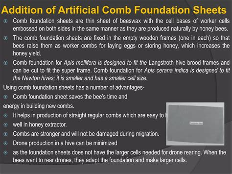 Apiary Managementpptx