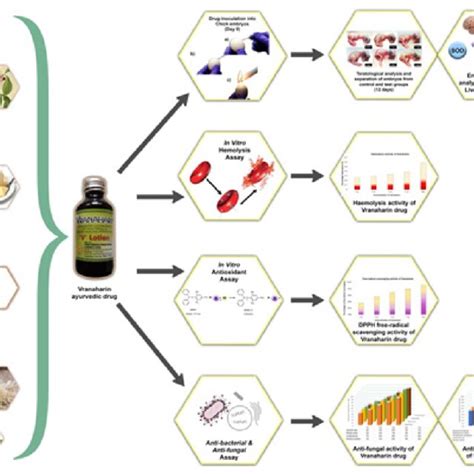 Graphical Representation Of The Overall Experimental Setup Download Scientific Diagram