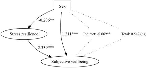 Frontiers Factors Influencing Subjective Well Being In Individuals
