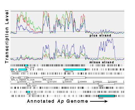 PDF Additional File 9