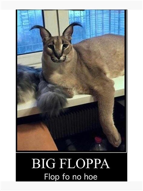 Floppa Poster For Sale By Slavi Art Redbubble