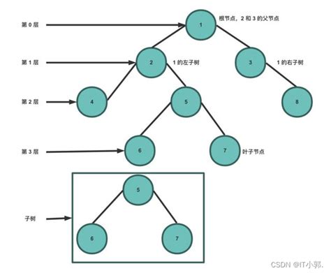 数据结构:八大数据结构分类 Csdn博客 数据结构:八大数据结构分类 Csdn博客