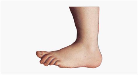 Freetoedit Montypythonfoot Foot Googleimage Monty Python Foot Png Transparent Png