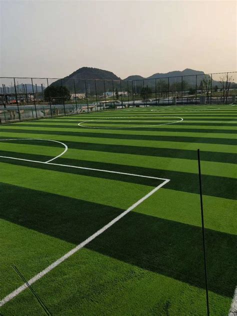 足球场人造草厂家价格 知乎