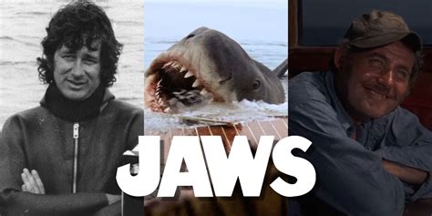 The Creator Of Jaws Became A Shark Advocate Because Of The Movies