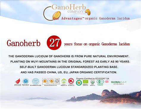 Ganoderma Lucidum Mycelium Powder Premium Ganoherb
