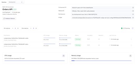 view runtime details choreo documentation ai native internal
