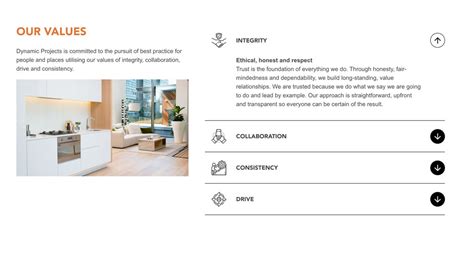 Dynamic Projects Hopping Mad Design