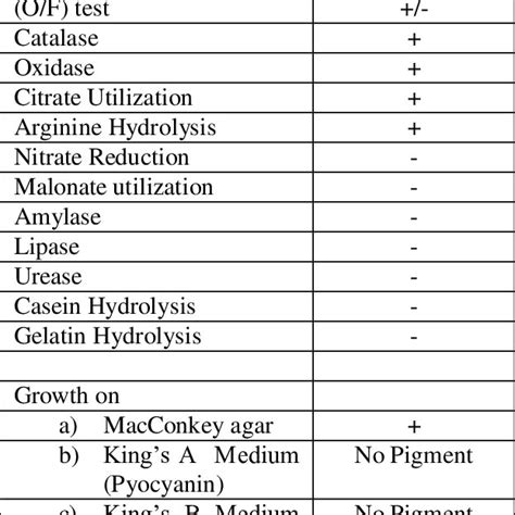 Morphological And Biochemical Characterization Of Heavy Metal Tolerant