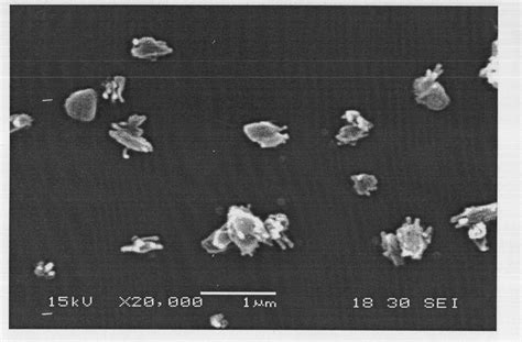 Preparation Method Of Modified And Micronized 2 Mercaptopyridine Oxide Zinc Salt Eureka Patsnap