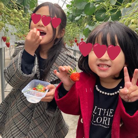 先日、娘二人を連れていちご狩りに行ってきました！ ブログ 健康食品の通販ならみちくさ。