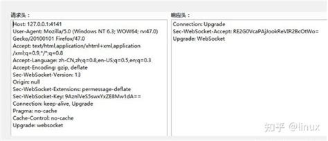 一篇文章彻底搞懂websocket协议的原理与应用（一） 知乎