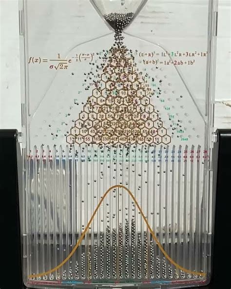 Probability Machine Galton Board Plinko In Slow Motion With Bell