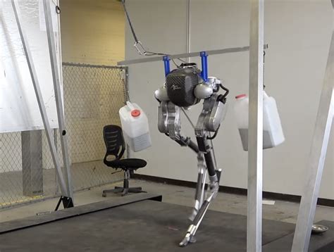 darpa robots learn to grasp objects and carry loads over rough terrain