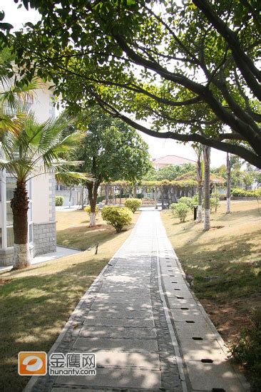 一起来看流星雨校园一起来看流星雨雨一起来看流星雨一大山谷图库
