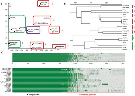 Results Of Pangenome Analysis A Multidimensional Scaling Representing Download Scientific