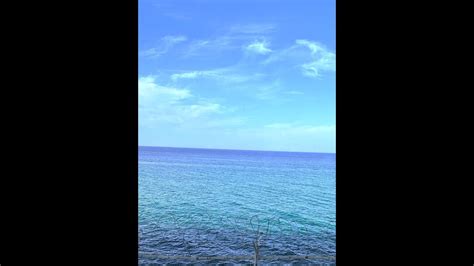 홍길동임꺽정발산기슭곰발 정동진 기차여행 부제 서울역에서 Youtube