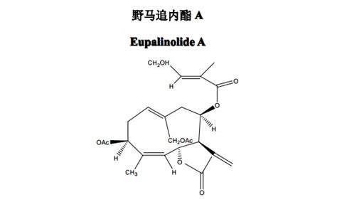 野马追内酯A对照品 标准对照品 中国标准品网 国家标准品网