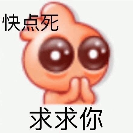快点死求求你 可爱萌物双手合十配文快点死 求求你尽显无奈滑稽表情包图片gif动图 求表情网 斗图从此不求人