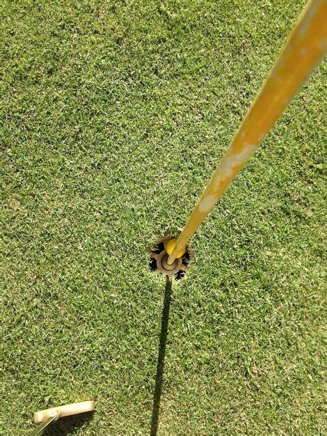 Close Up Of Grass Premium Photo Close Up Of Grass Premium Photo