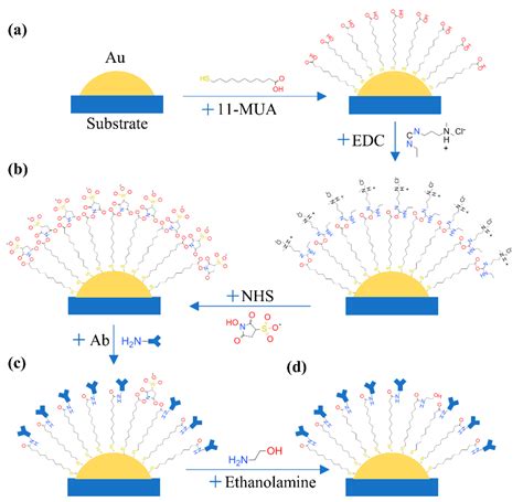 Smartphone Biosensor System With Multi Testing Unit Based On Localized Surface Plasmon Resonance