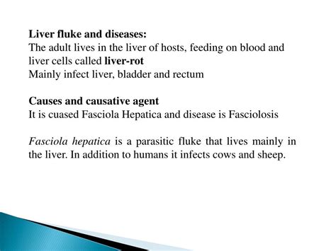 Ppt Lymphatic Filariasis Elephantiasis Causative Agent Etiology