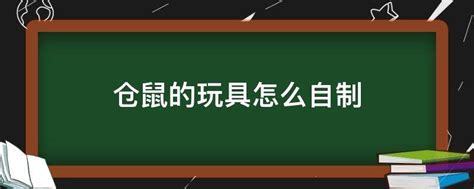 仓鼠的玩具怎么自制 业百科