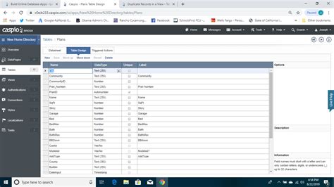 duplicate records in a view tables views and relationships caspio