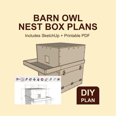 Indoor Barn Owl Nesting Box Ii Plans And Sketchup Model Etsy