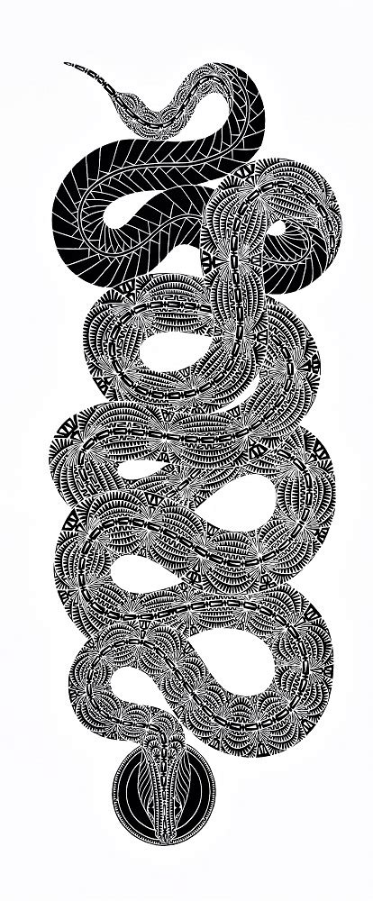 Oenpelli Python Canopy