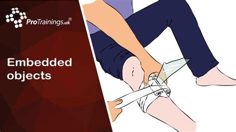 Embedded Objects Activity First Aid Online Blended Part 1 Online