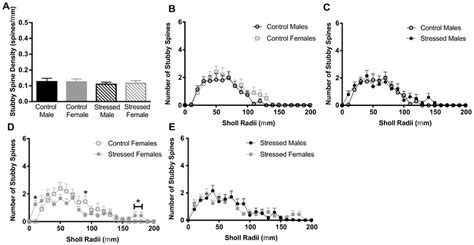 Sex And Stress Dependent Effects On Dendritic Morphology And Spine Densities In Putative Orexin