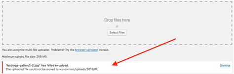 The Uploaded File Could Not Be Moved To Wp Content Indowebsite Knowledgebase