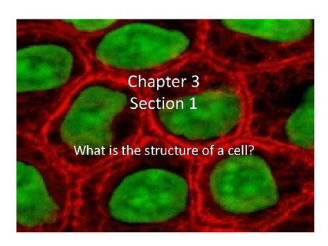Chapter 3 Section 1 What Is The Structure