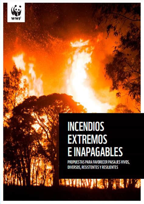 Informe Sobre Incendios Forestales 2023 Extremos E Inapagables