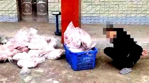 现场4名偷狗贼毒杀89狗被捕 民警当场查获1600斤狗肉毒镖 狗 偷狗贼 狗肉 新浪新闻