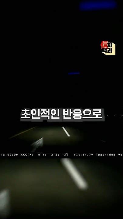 초인적인 반응으로 겨우 피해 목숨 건진 블박차 와ㄷㄷㄷㄷㄷ Youtube